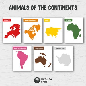 Discover Animals From Around the World: Educational Continent and ...