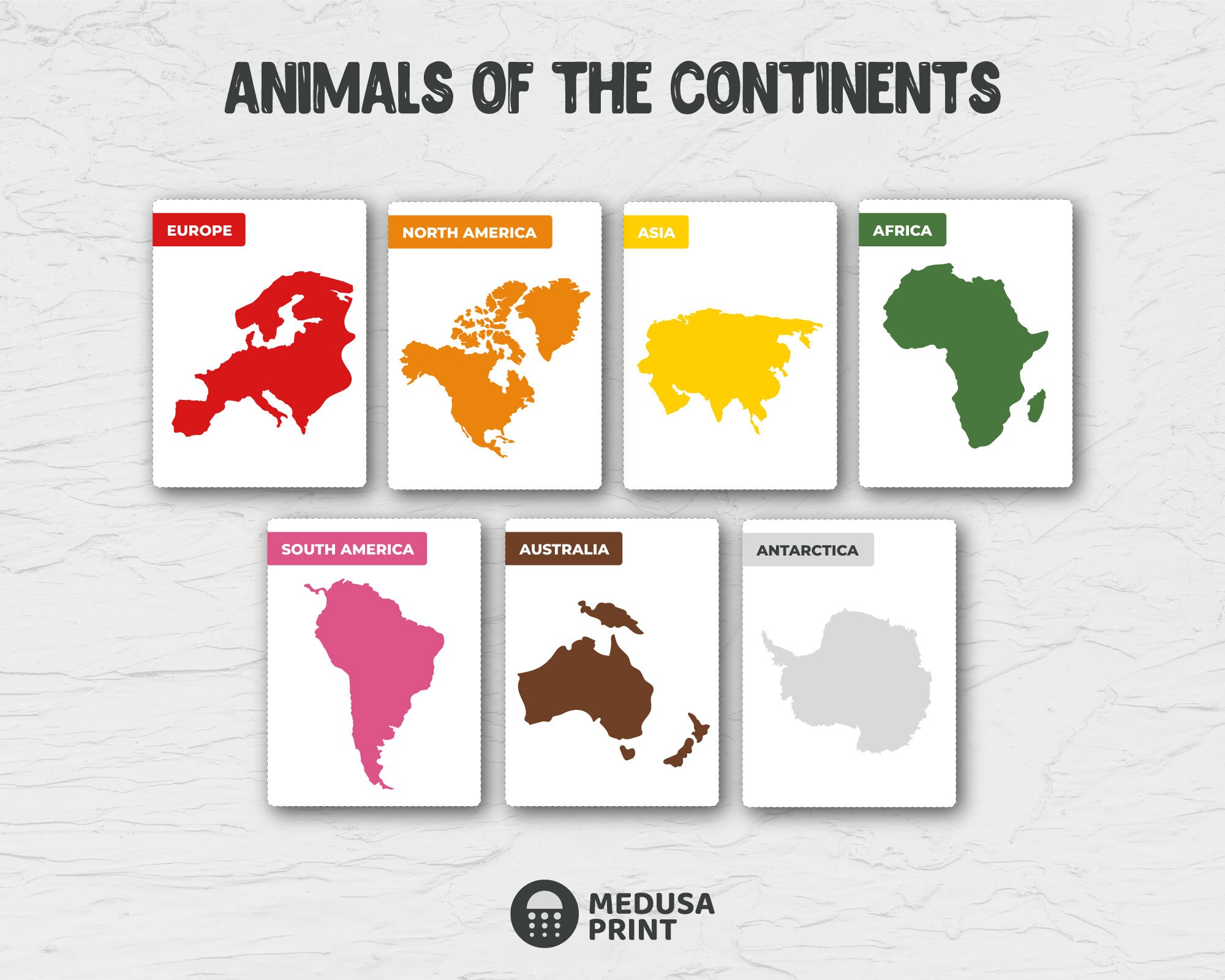 Discover Animals From Around the World: Educational Continent and ...