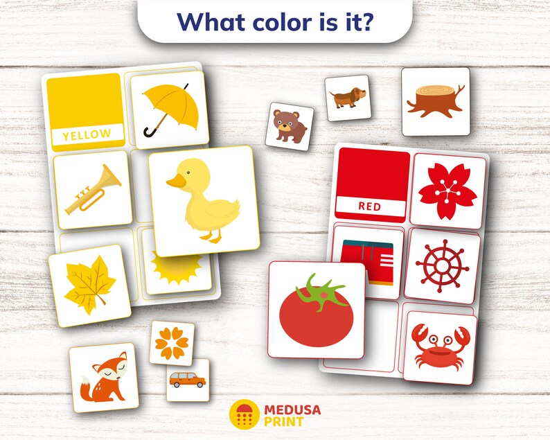 Color Study and Sorting Kit - Develops Perception, Logic and Memory ...