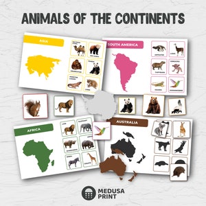Discover Animals From Around the World: Educational Continent and ...