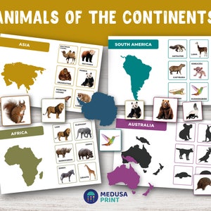 Discover Animals From Around the World: Educational Continent and ...