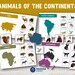 Discover Animals From Around the World: Educational Continent and ...