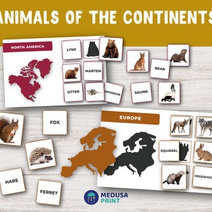Discover Animals From Around the World: Educational Continent and ...