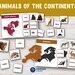 Discover Animals From Around the World: Educational Continent and ...