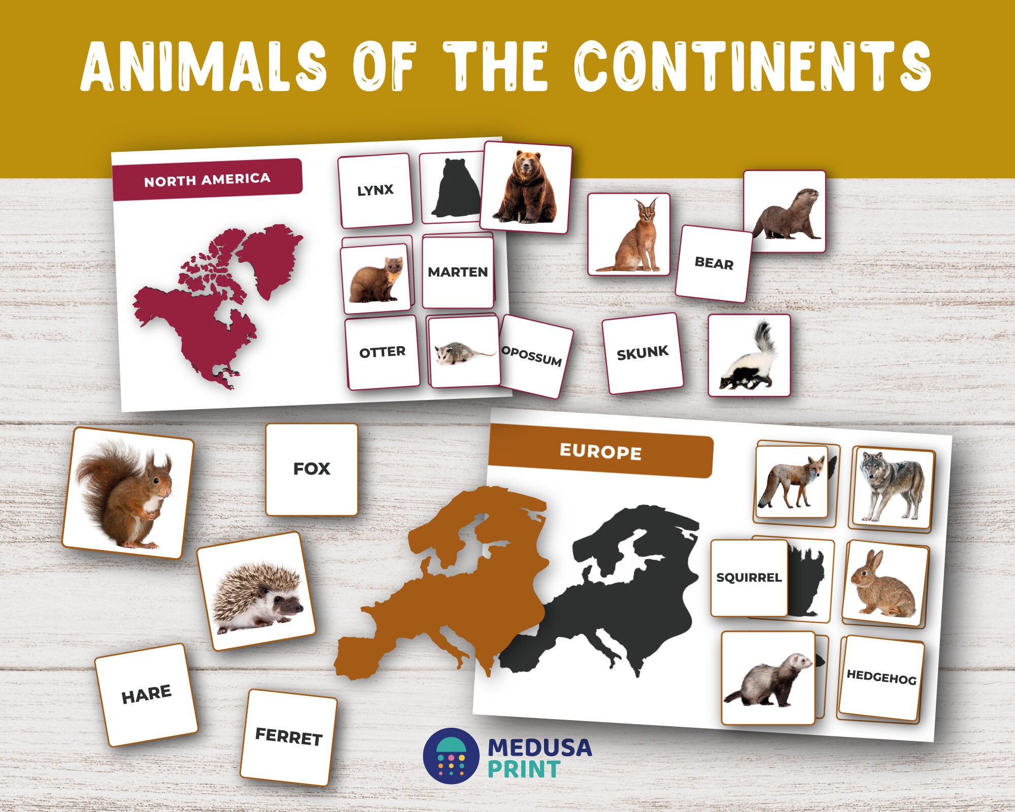 Discover Animals From Around the World: Educational Continent and ...