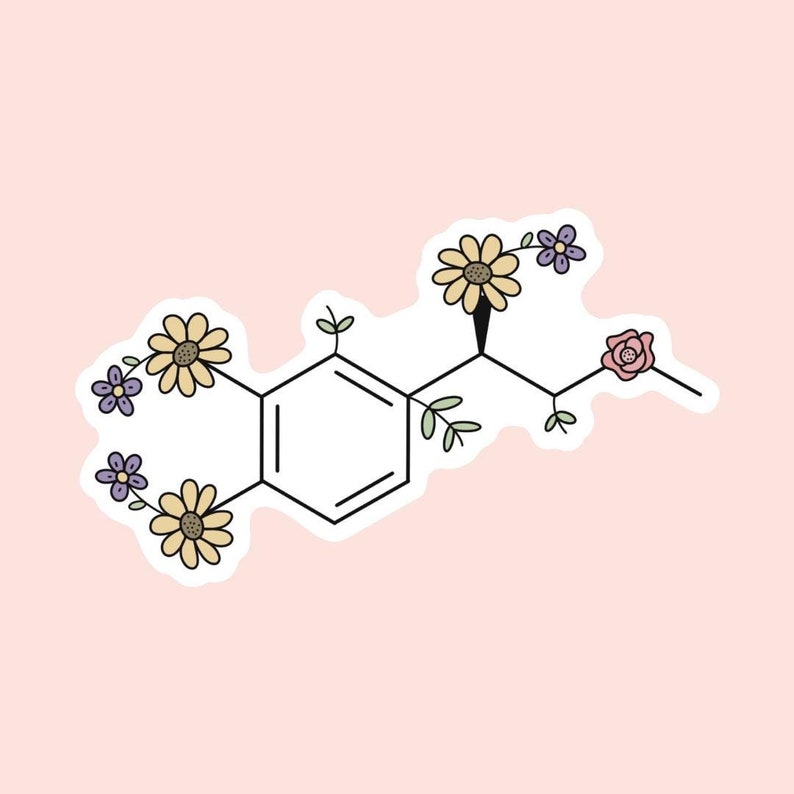 Adrenaline / Epinephrine Chemical Structure Vinyl Sticker, 3 Inch - Etsy