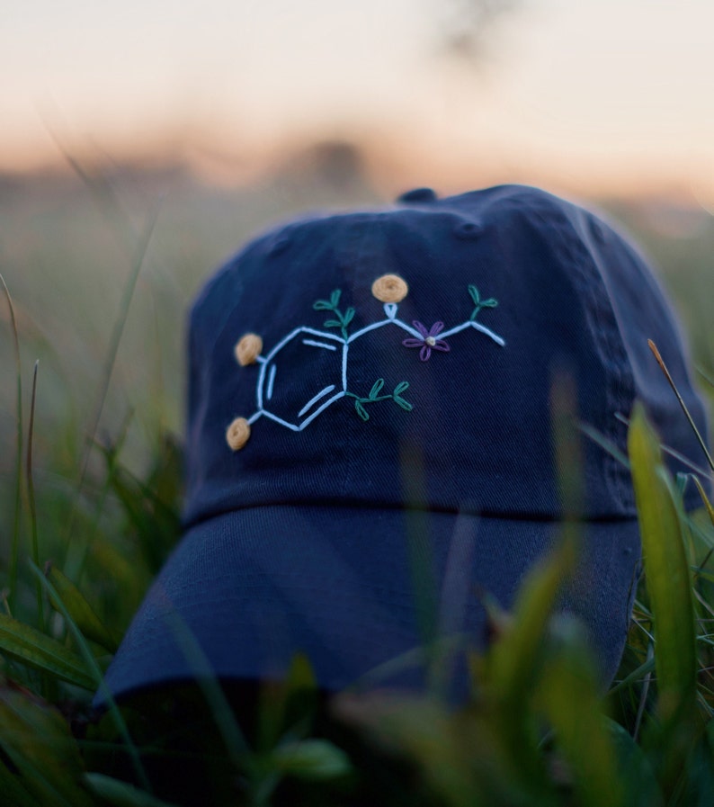 Custom Embroidered Chemical Structure Baseball Cap | Etsy