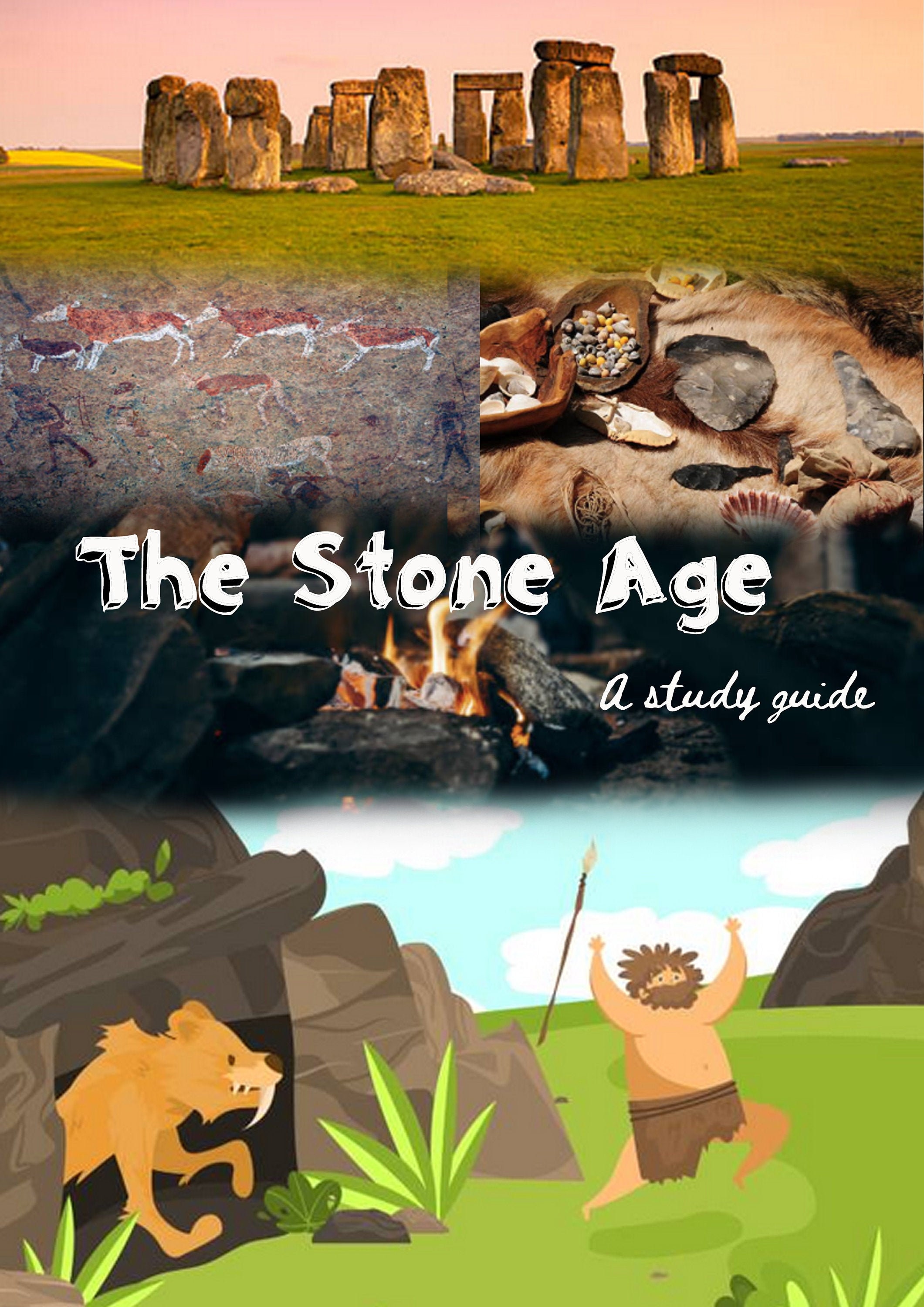 The Stone Age - A Unit Study - Etsy UK
