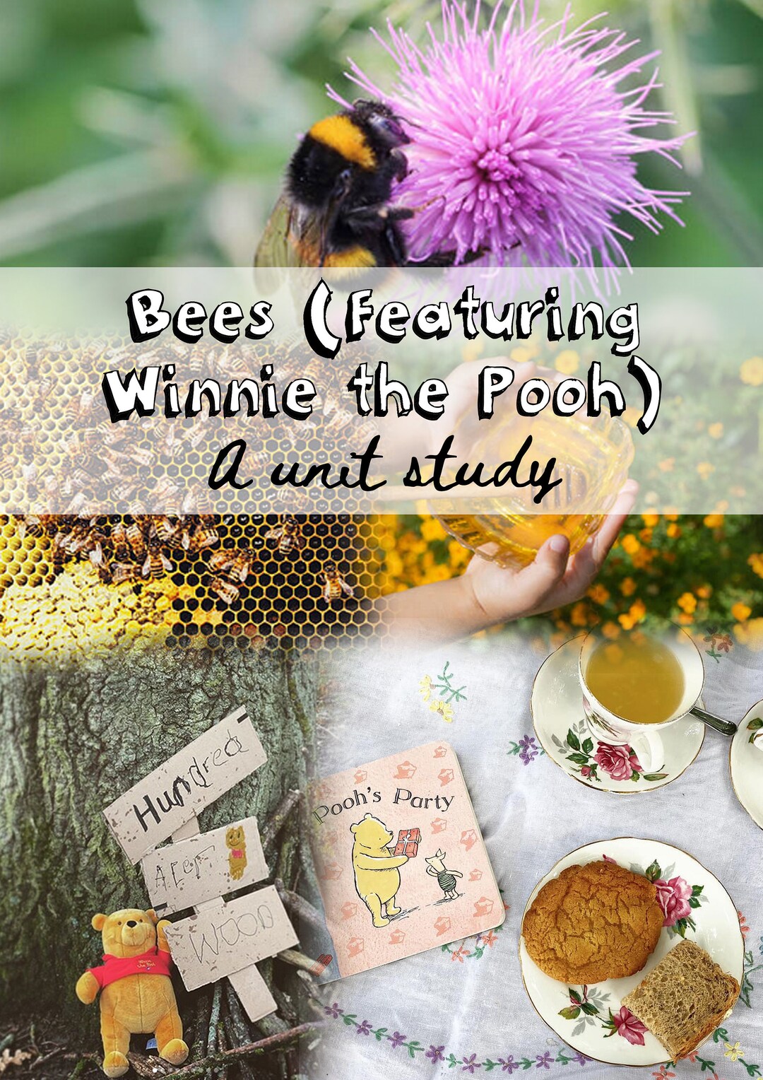 Bees & Bears - A Unit Study Guide, Homeschool, Home Education - Etsy