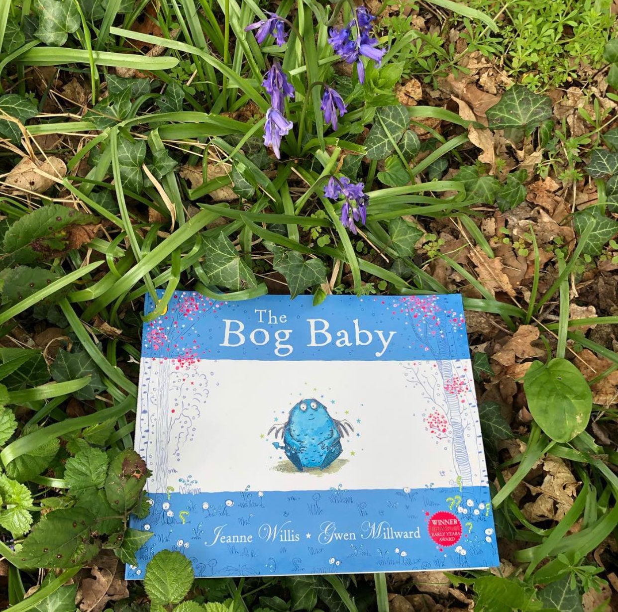 The Bog Baby Book Aktivitäten Anleitung und Lerneinheit - Etsy.de