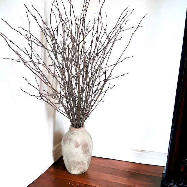 Long Birch Twigs - Etsy