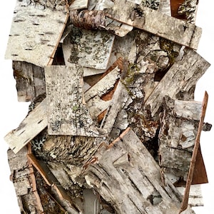 Box of Birch Bark - Random Cuts - Scrap Pieces - Bulk Sheets Raw Paper ...