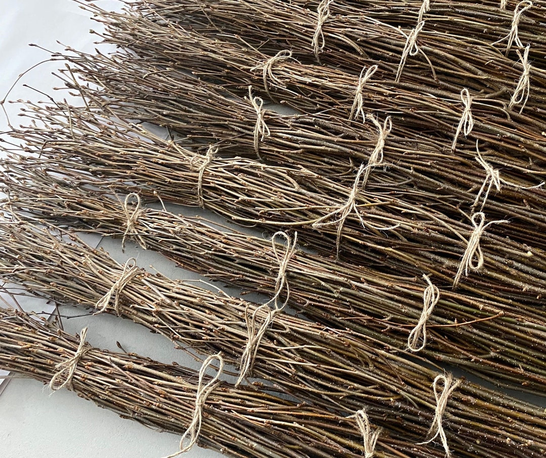 BULK Birch Bundles 20 Inch Natural Cuttings Real Twigs Branches ...