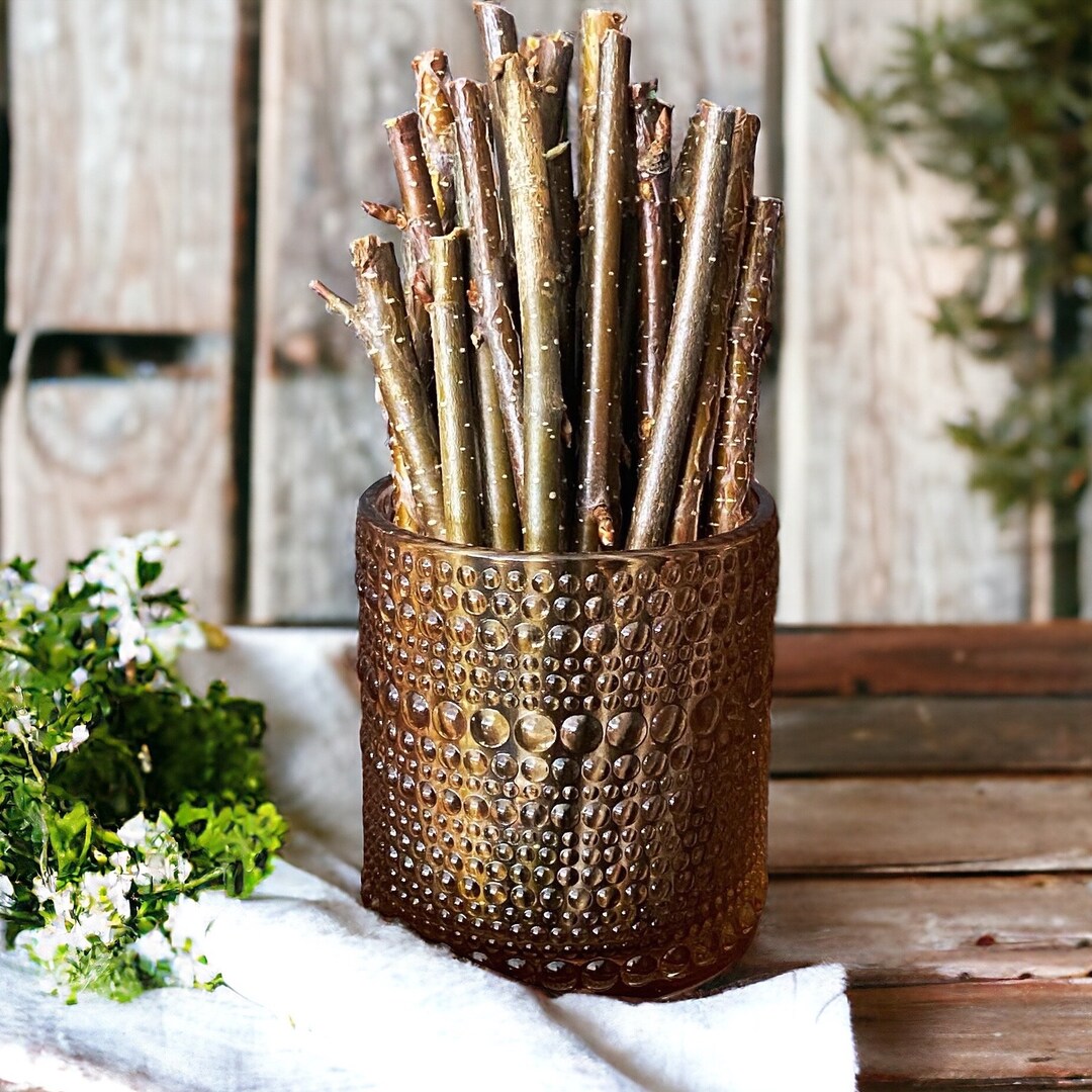 Rustic Birch Craft Sticks - Small Crafting Twigs Cut Stems Natural ...