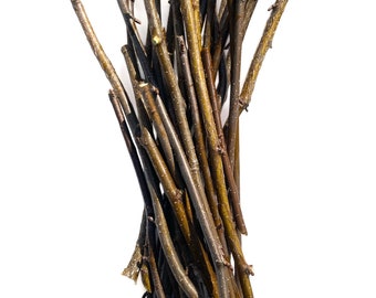 Breathtaking Micro Branches Tiny Branches for Dioramas - Etsy