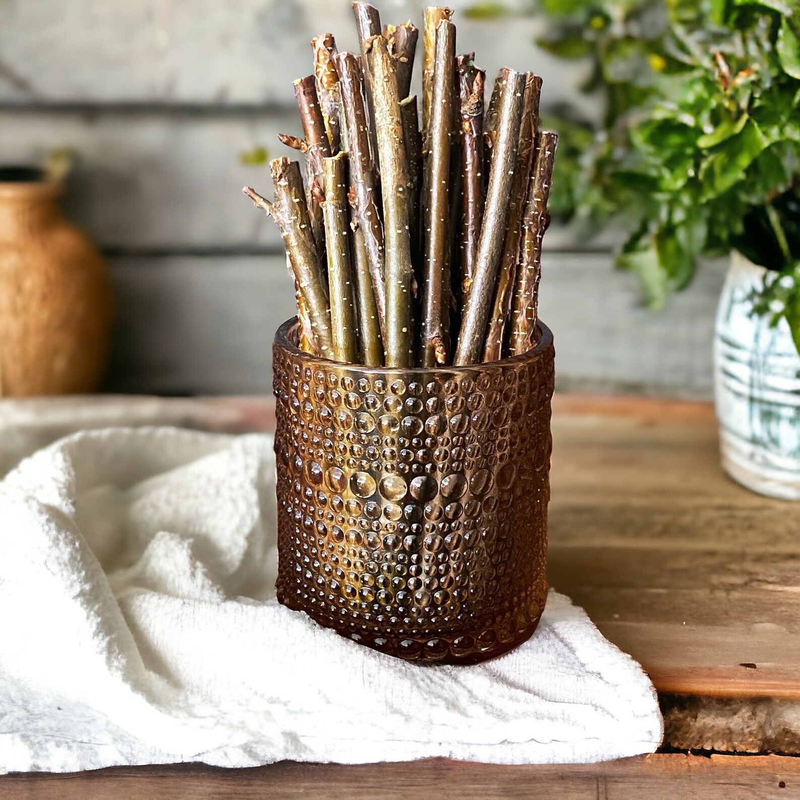 Rustic Birch Craft Sticks - Small Crafting Twigs Cut Stems Natural ...
