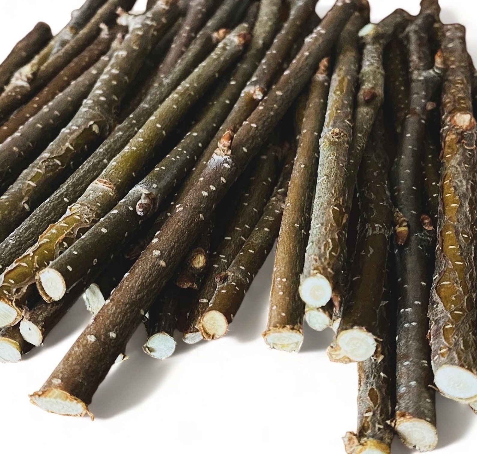 Rustic Birch Craft Sticks - Small Crafting Twigs Cut Stems Natural ...