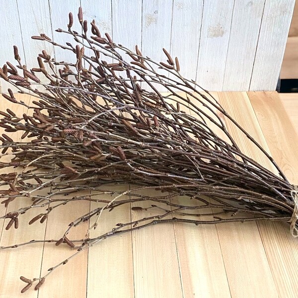Long Birch Twigs - Etsy
