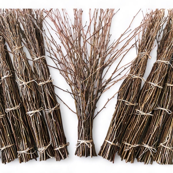 Long Birch Twigs - Etsy