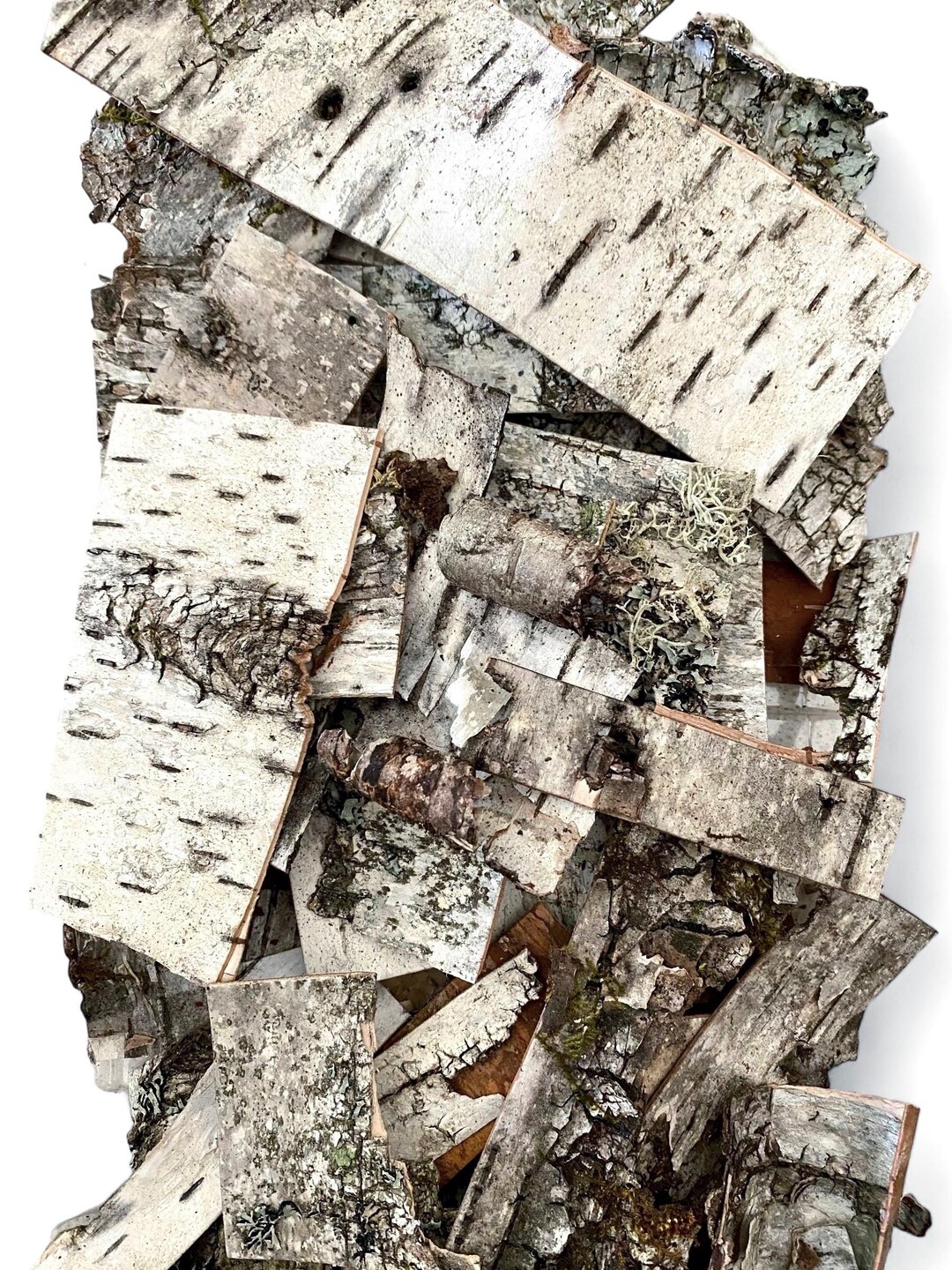 Box of Birch Bark - Random Cuts - Scrap Pieces - Bulk Sheets Raw Paper ...