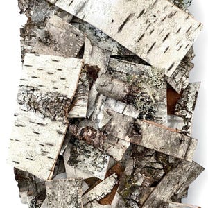 Birch Bark Strips - Etsy