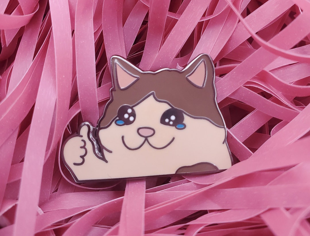 Crying Cat Meme Enamel Pin - Etsy