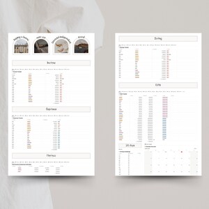 Aesthetic Notion Pink Finance Template for Tracking Income and Savings ...