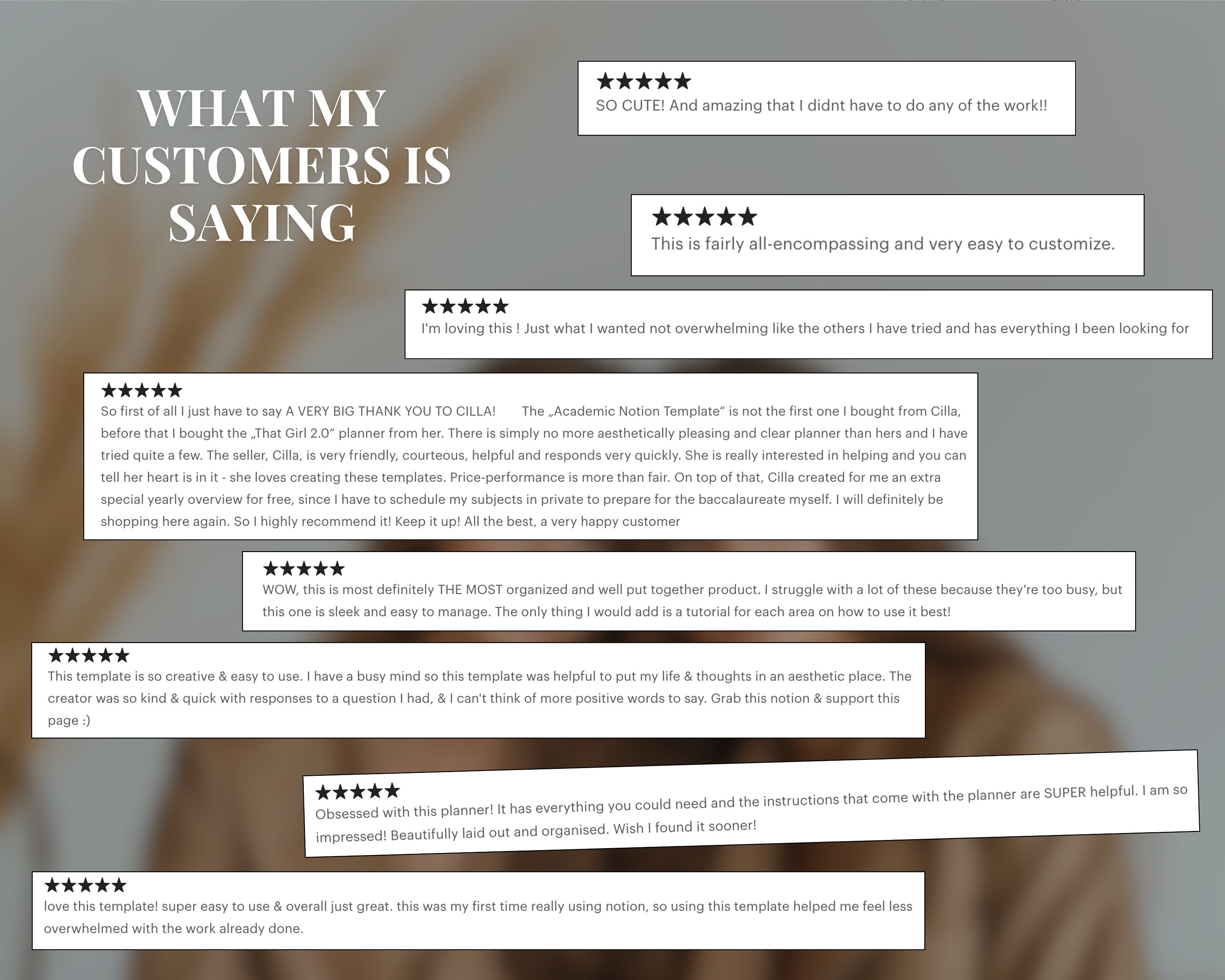 All in One Notion Client Portal Template Project Management Client ...