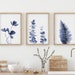 Navy Blue Clover Eucalyptus and Fern Poster/prints Set of 3 - Etsy UK
