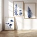 Navy Blue Clover, Eucalyptus and Fern Poster/prints, Set of 3 Prints ...