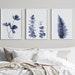 Navy Blue Clover, Eucalyptus and Fern Poster/prints, Set of 3 Prints ...
