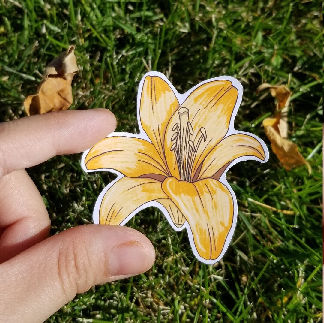 Lily Sticker Laptop Stickers Water-bottle Sticker Tumbler Sticker ...