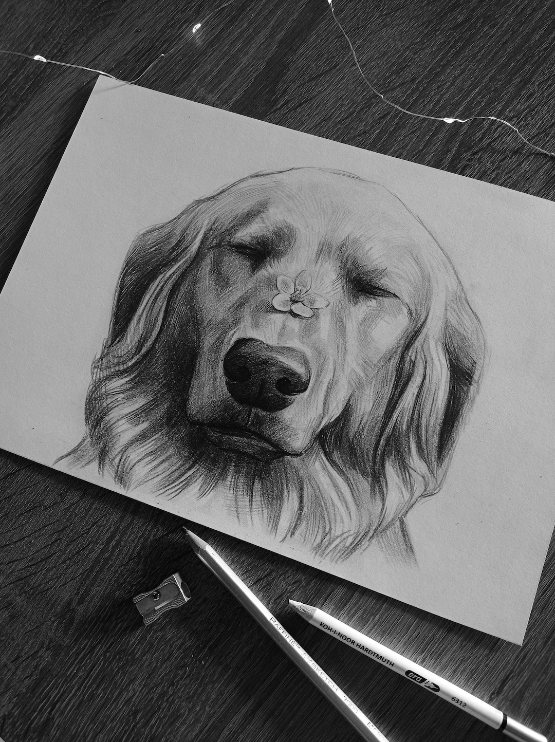 Pet Portrait, Pet Drawing, Animals Drawing, Pet Lovers, Pencil Drawing ...