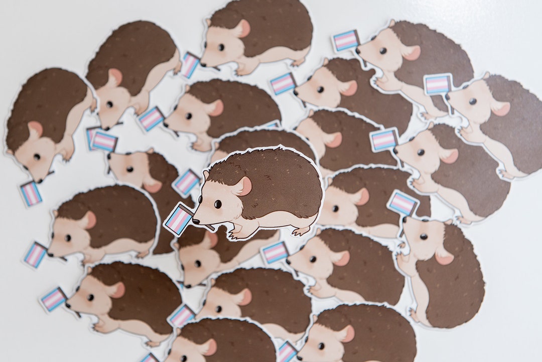 Transgender Pride Hedgehog Sticker | LGBT Pride | Pride Flag Sticker ...