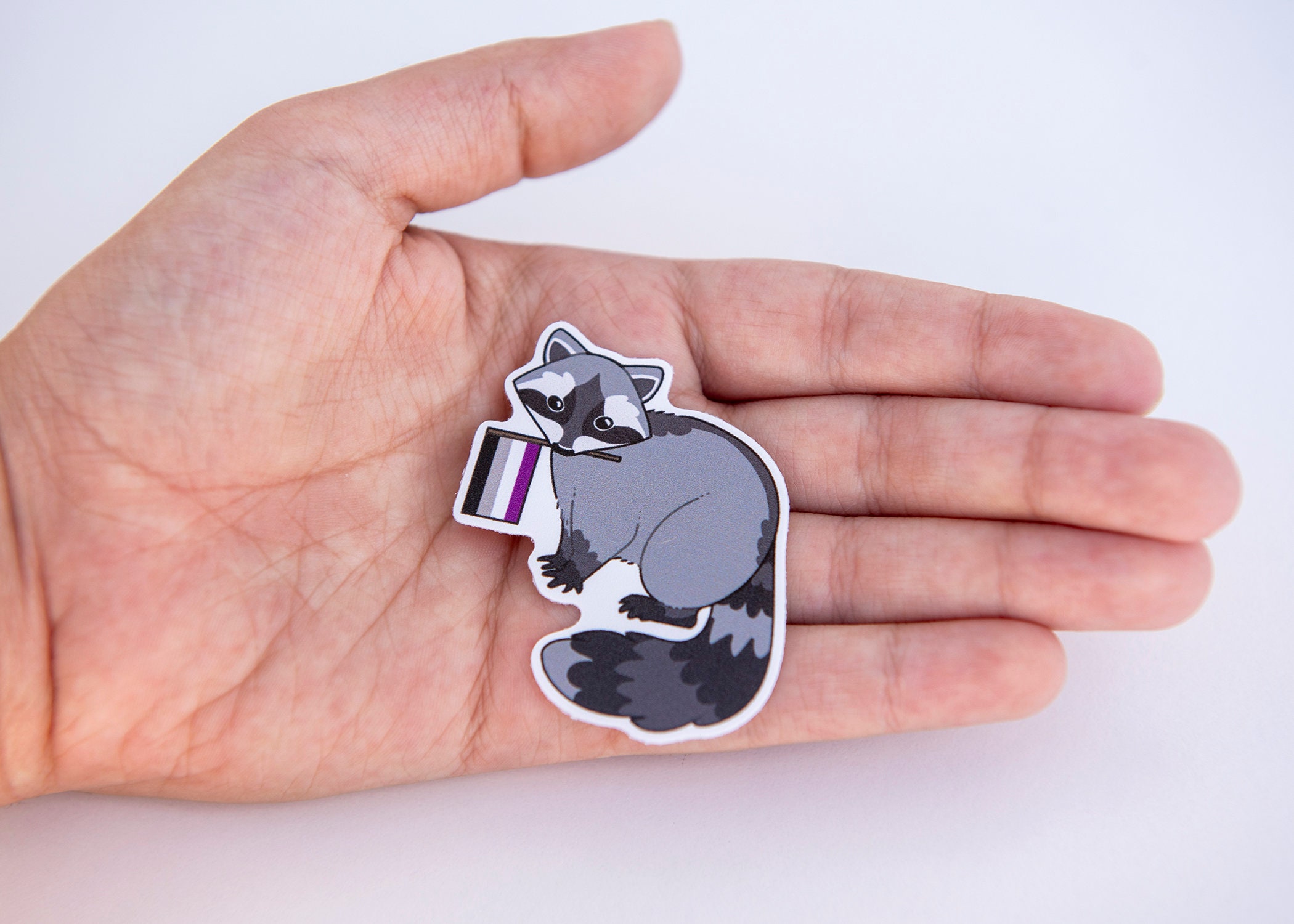 Asexual Pride Raccoon Sticker LGBT Pride Pride Flag - Etsy UK