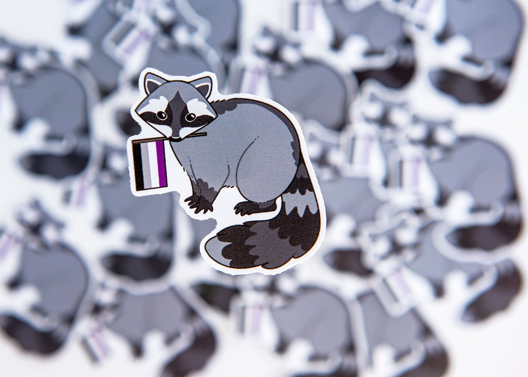 Asexual Pride Raccoon Sticker LGBT Pride Pride Flag - Etsy UK