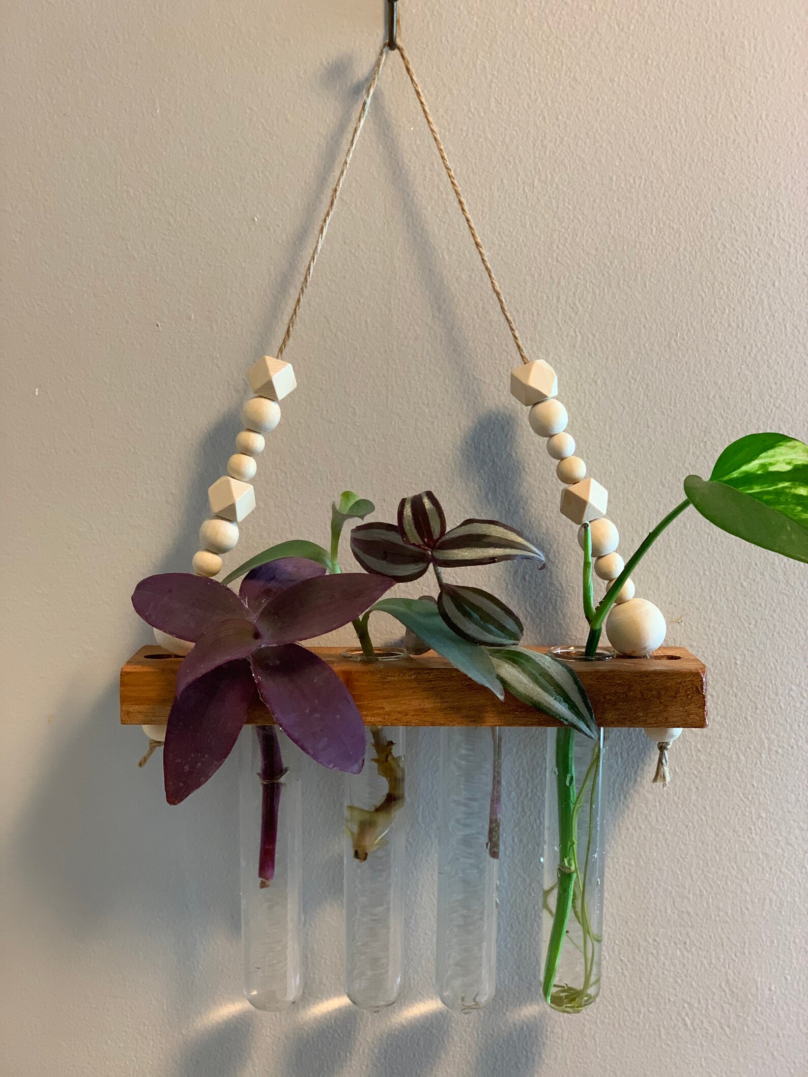 Wall Hanging Propagation Station - Etsy Hong Kong