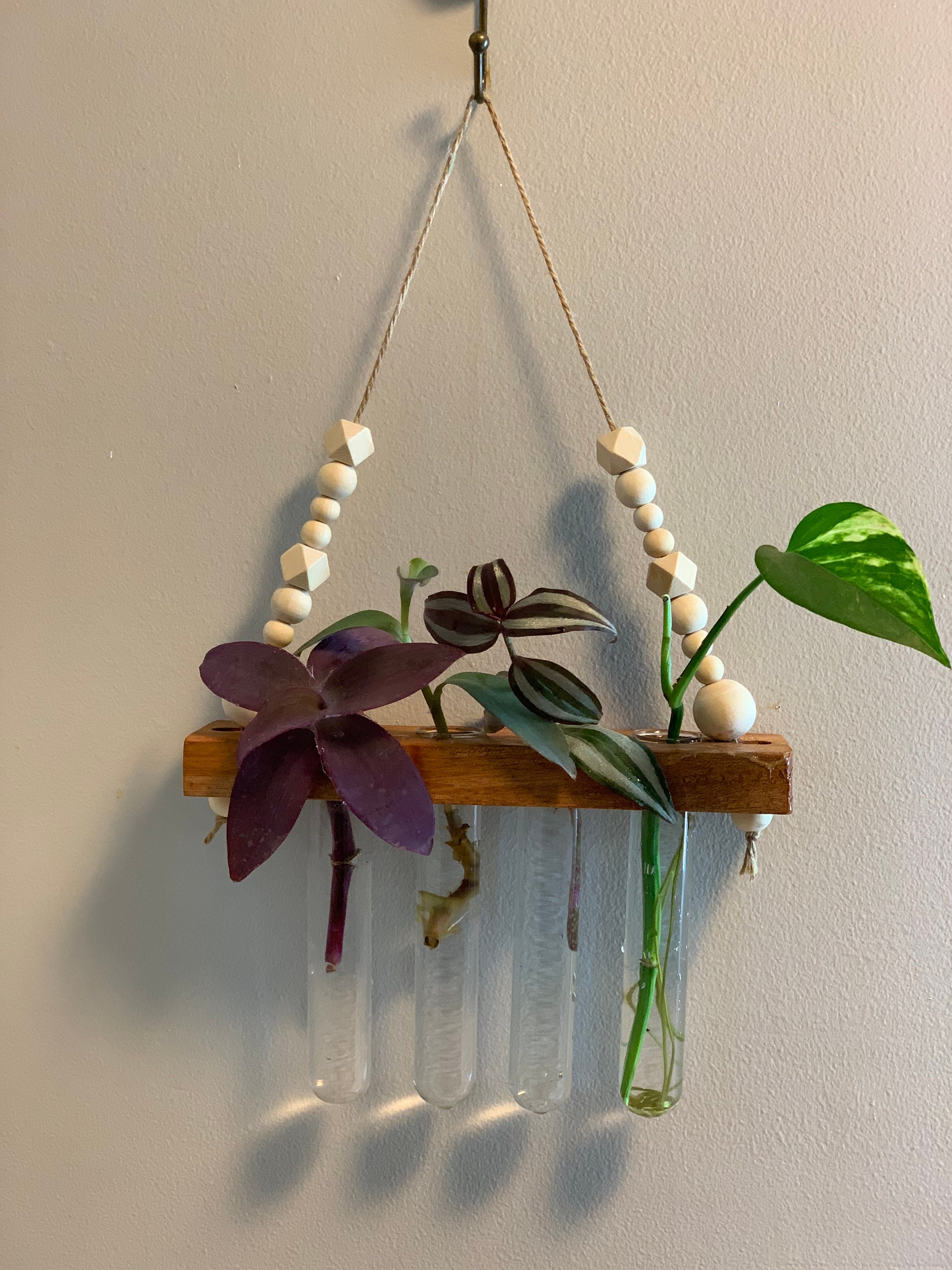 Wall Hanging Propagation Station - Etsy Hong Kong