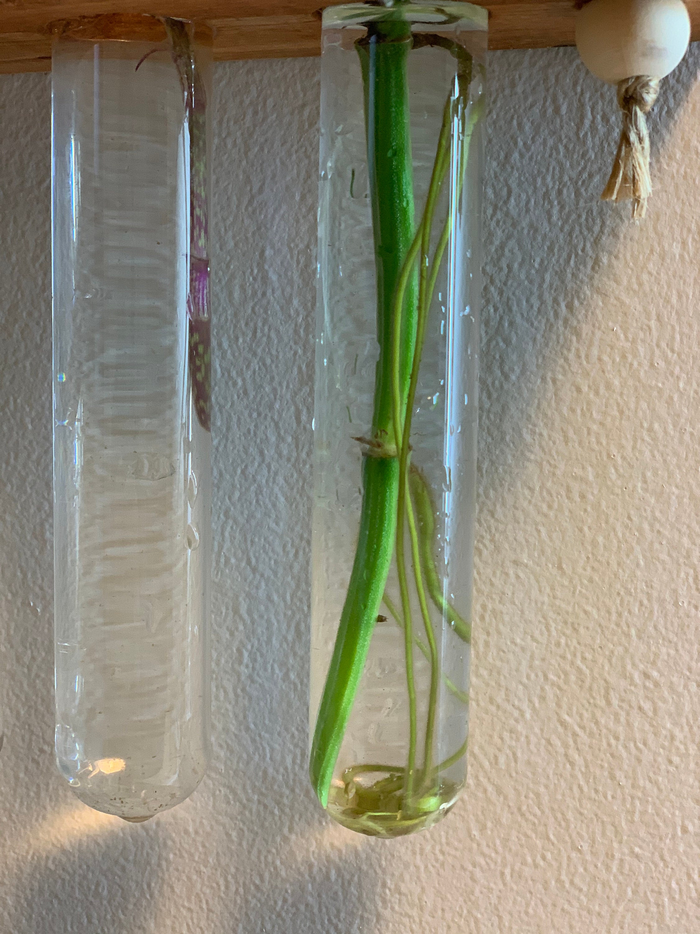 Wall Hanging Propagation Station - Etsy Hong Kong