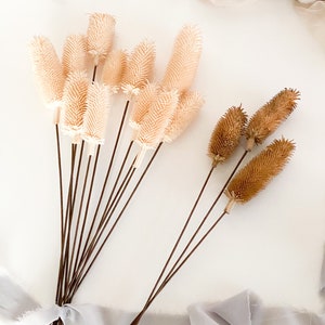 Preserved Dried Teasels, Dried Flowers, Dried Florals, Dried Bouquet ...