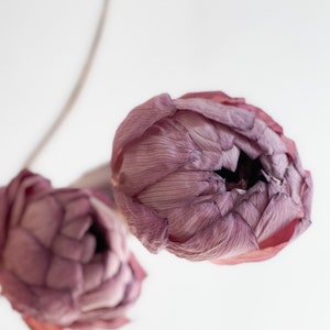 Vivid Dried Lotus, Dried Flowers, Flower Arrangement, Dried Florals ...