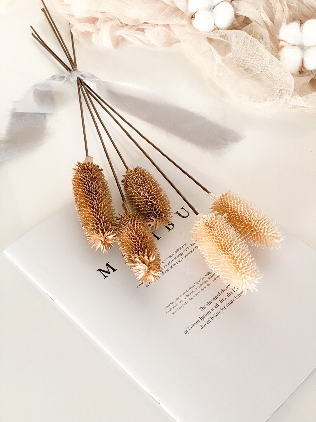 Preserved Dried Teasels, Dried Flowers, Dried Florals, Dried Bouquet ...
