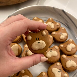 Teddy Bear Macarons in a Variety of Flavors - Etsy