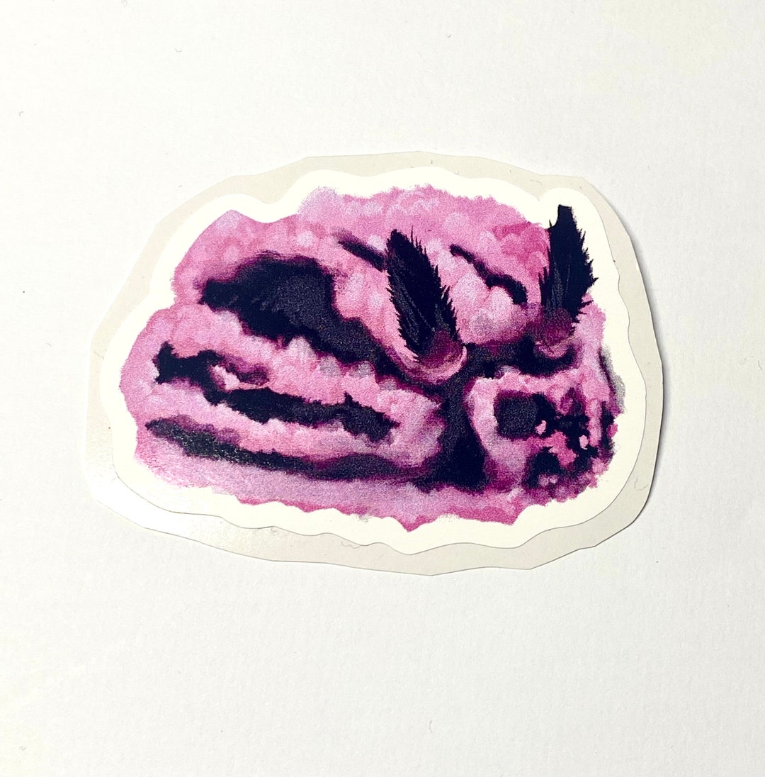 Nudibranch/sea Slug Sticker phyllidiella Zeylanica - Etsy