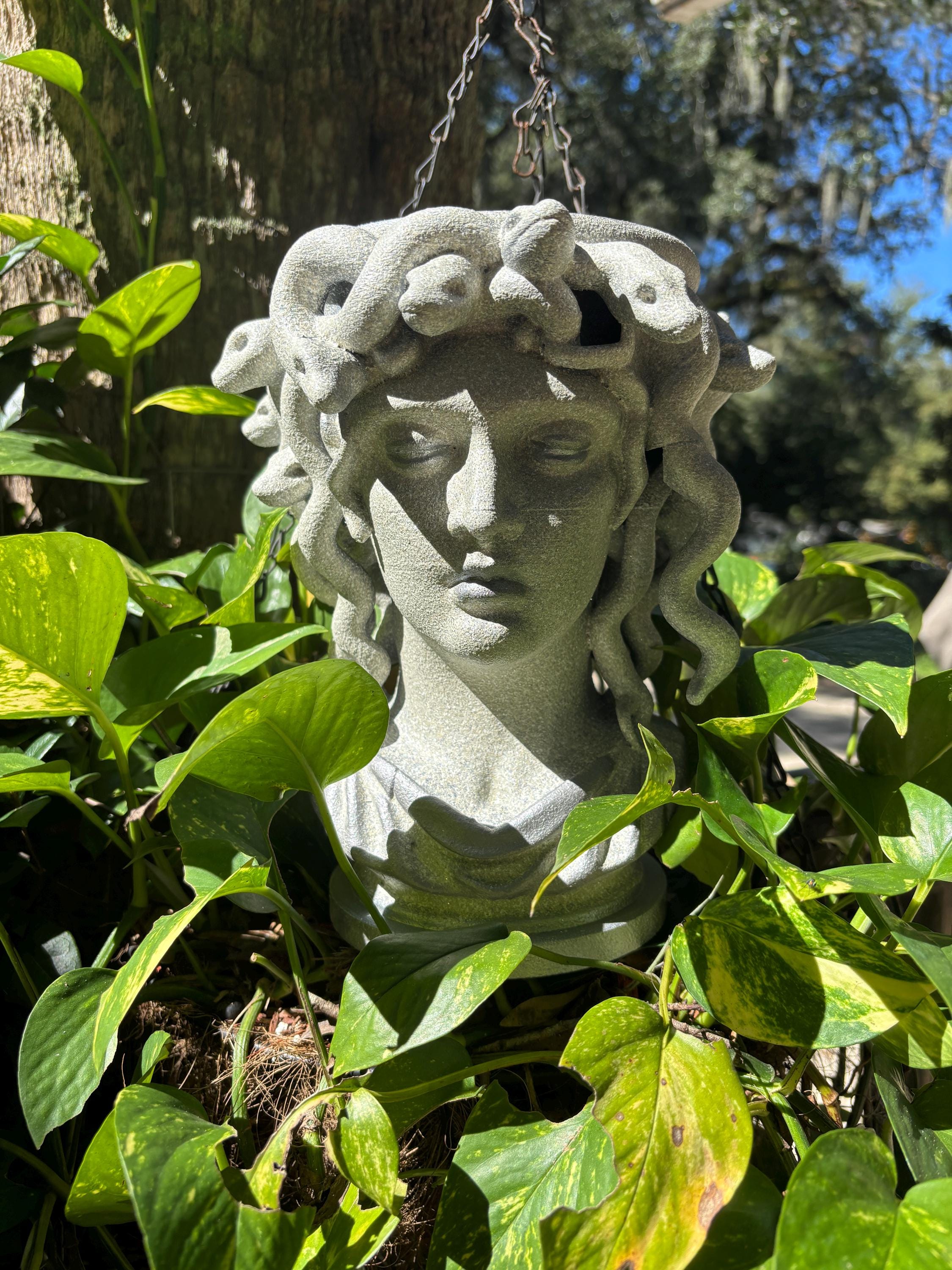 3D Printed Medusa Bust Planter: Gothic Mythological Decor - Etsy