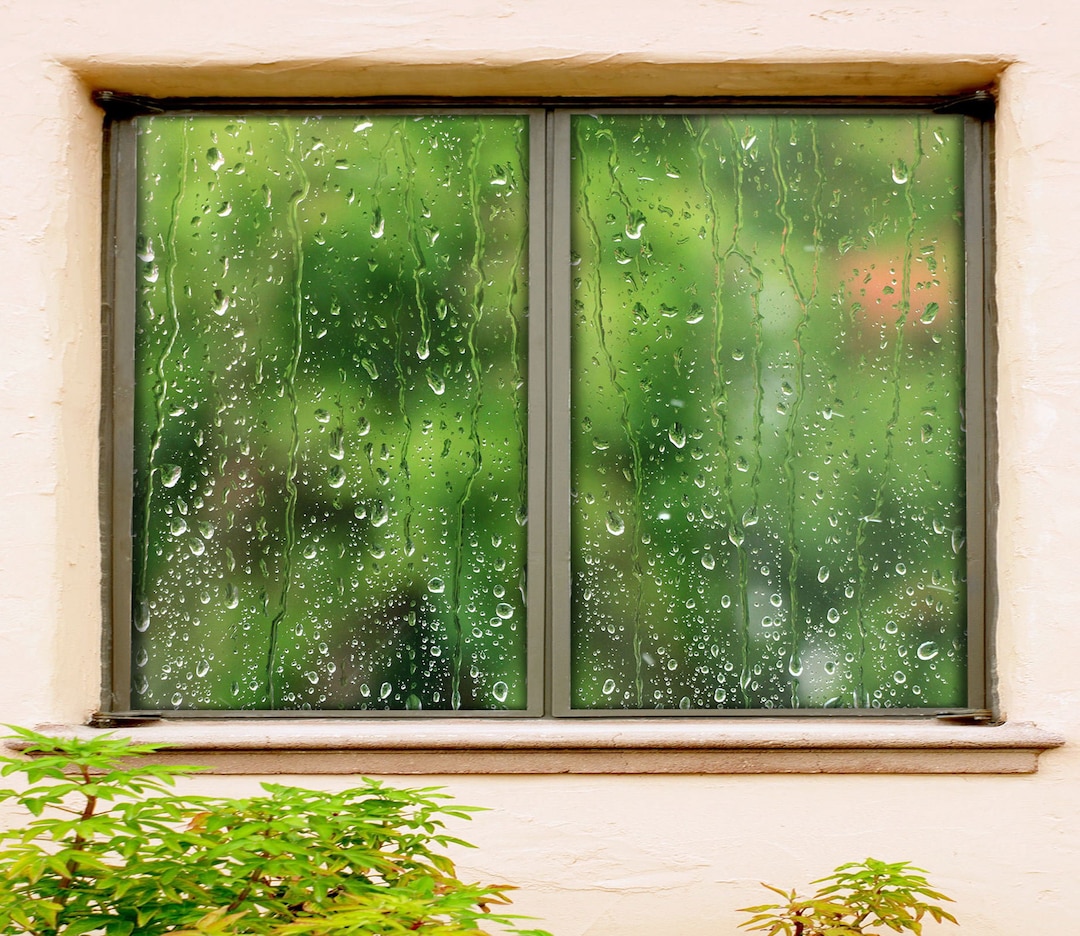 3D Nature's Rain W975 Window Film Print Sticker Cling Stained Glass ...