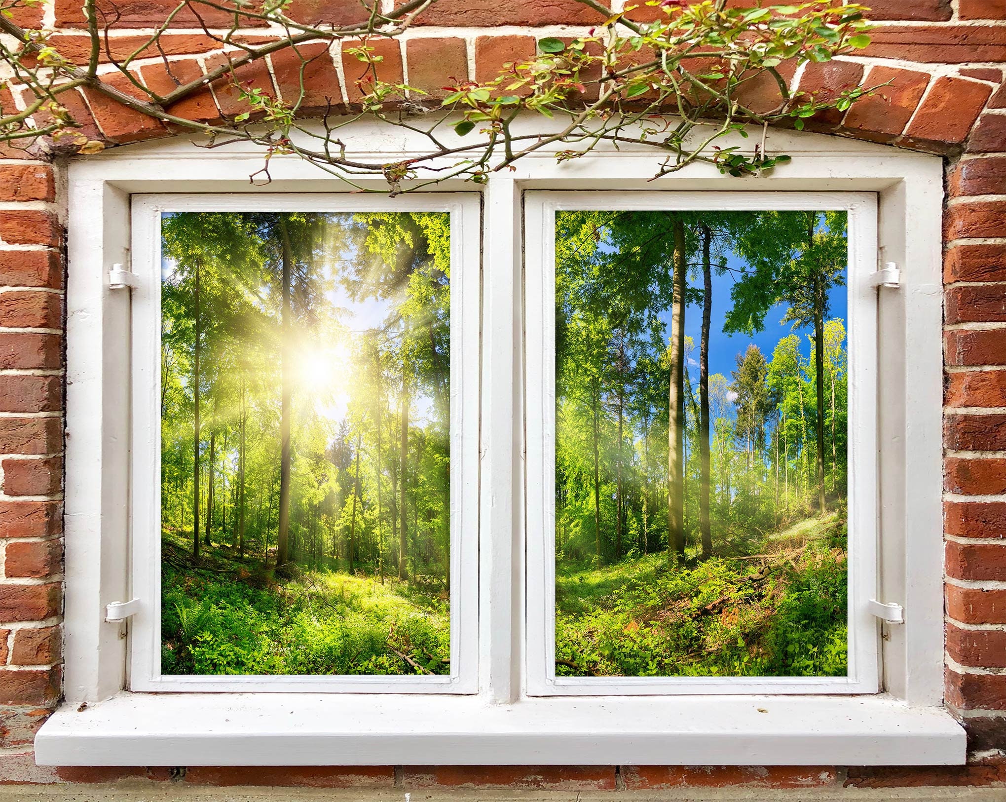 3D Sunny Green Forest W1143 Window Film Print Sticker Cling Stained ...