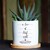 Personalized DNP Graduation Gift 3 White Ceramic Pot W/ Live Plant DNP Gift Doctor of Nursing ...