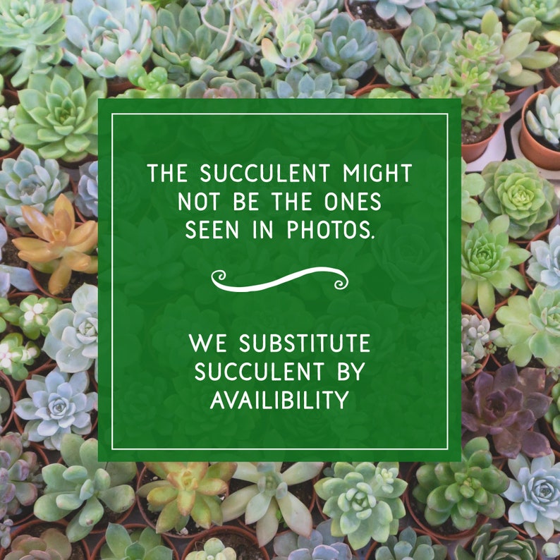 Personalized Math Teacher Gift - White Ceramic Pot 3" W/ Bamboo Tray ...