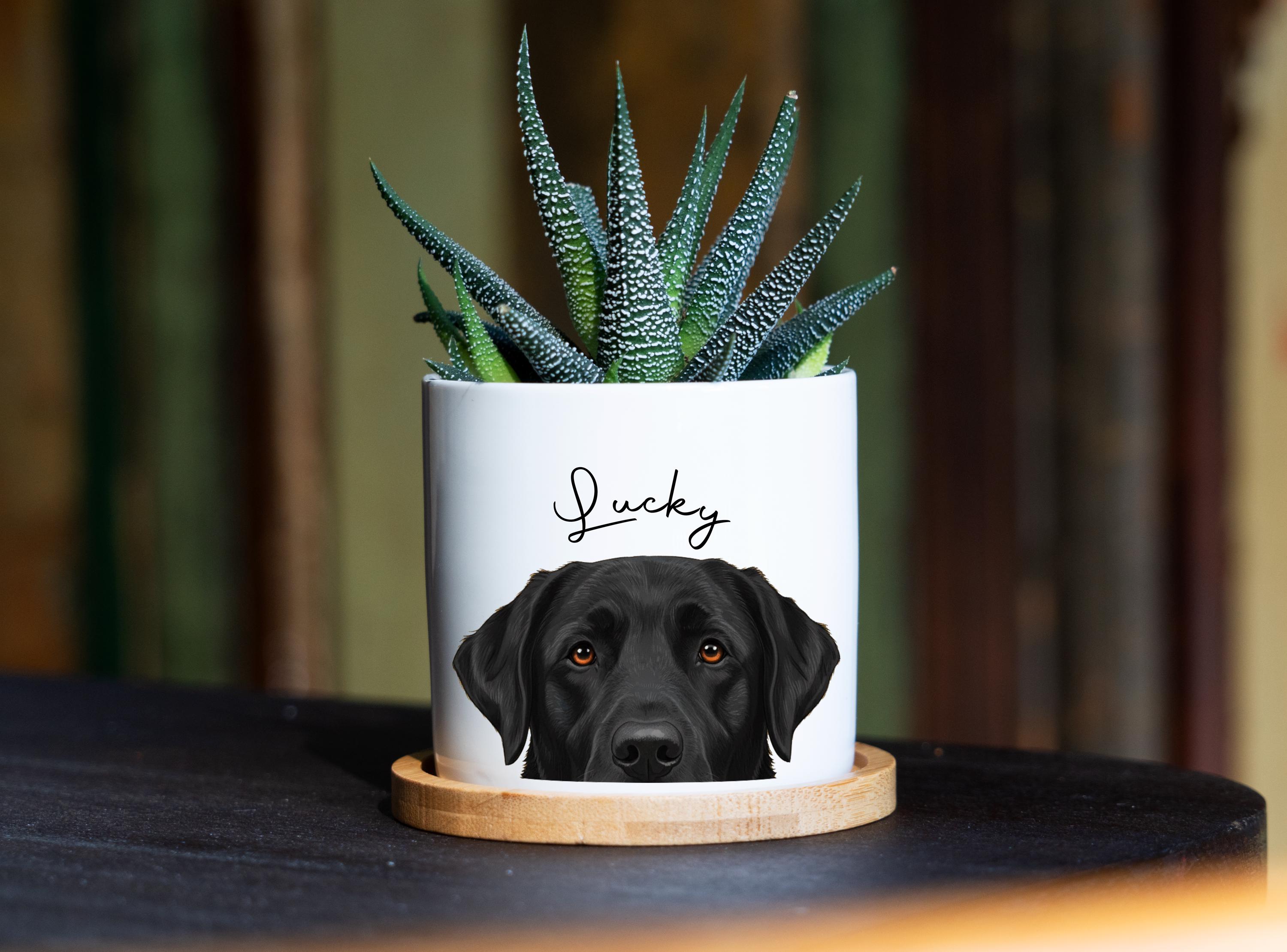 Personalized Dog Planter (ANY DOG!) - 3" White Ceramic Pot - French ...